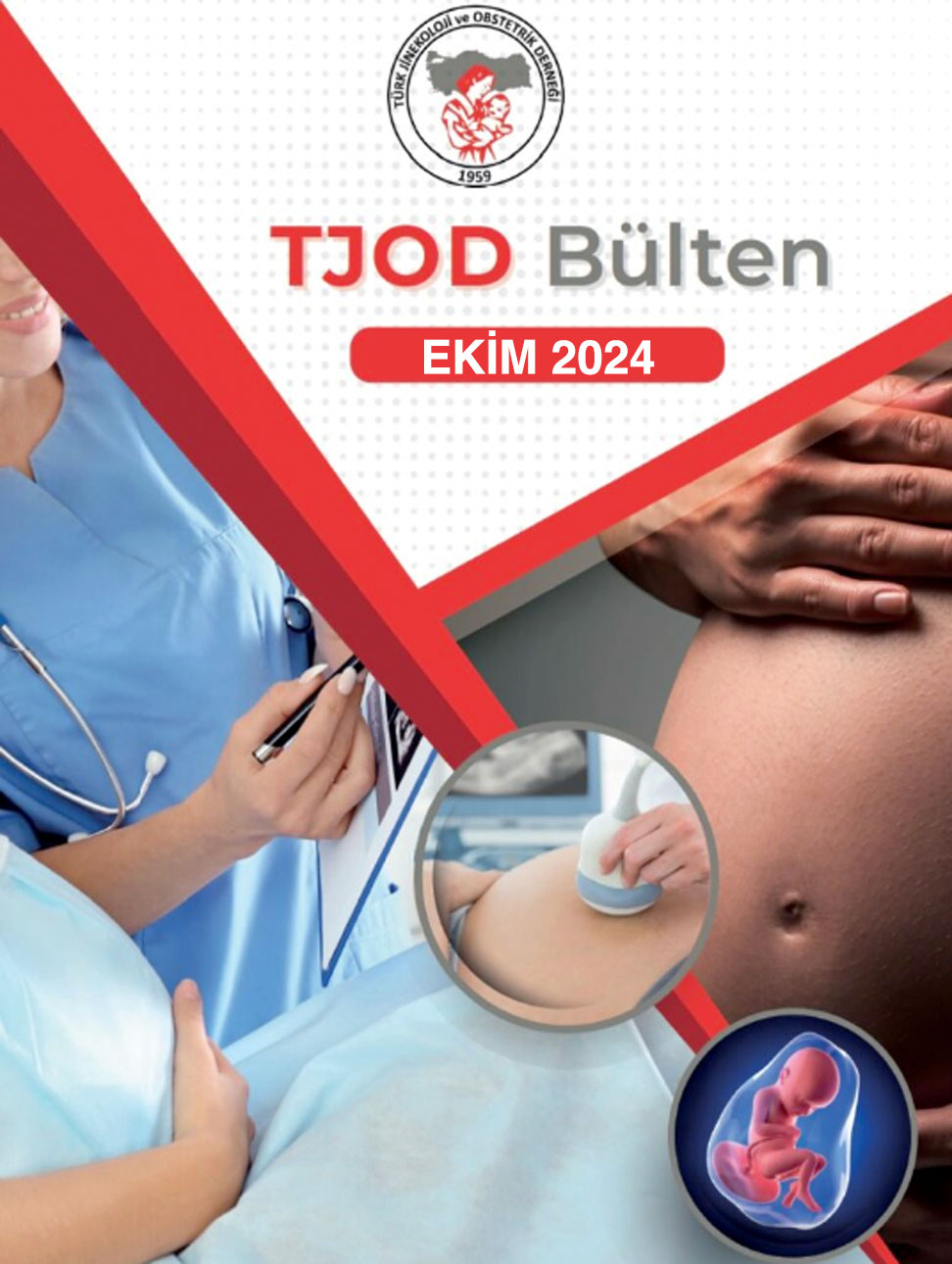 TJOD Bülten | Ekim 2024 | TJOD